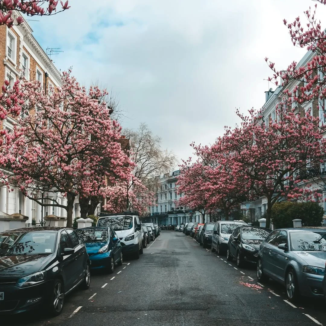 Chelsea Walking Tour: A Walk Through Chelsea’s Iconic Streets